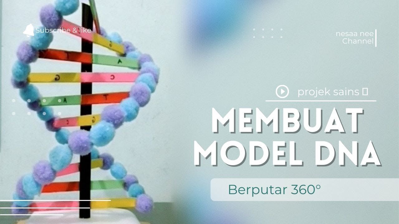 Membuat model DNA - YouTube