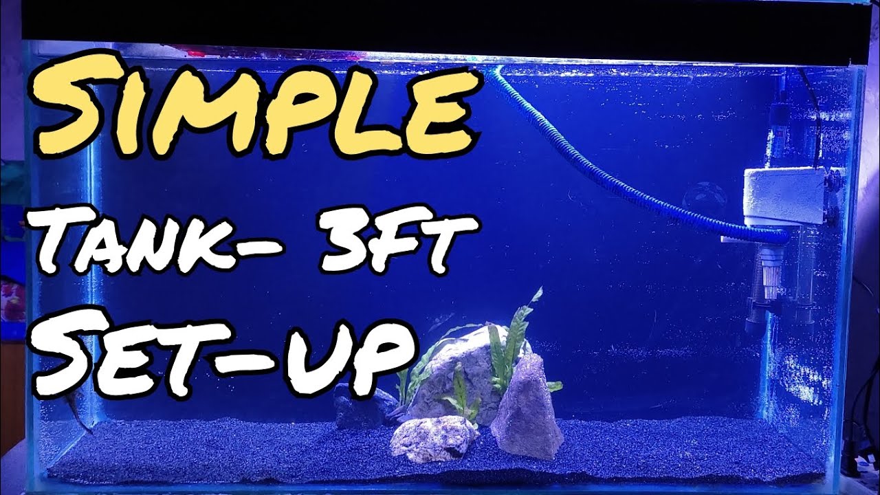 Setting-up a 3ft tank | Simple setup | Comment for part-2 | Suggest ...