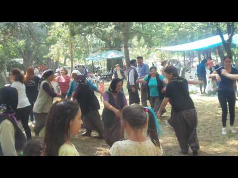 ERDOGAN TÜRKELİ-SEMAH (7 DEDEÇAMI ETKİNLİĞİ) YEMİŞEN KÖYÜ-HAMAMÖZÜ/AMASYA