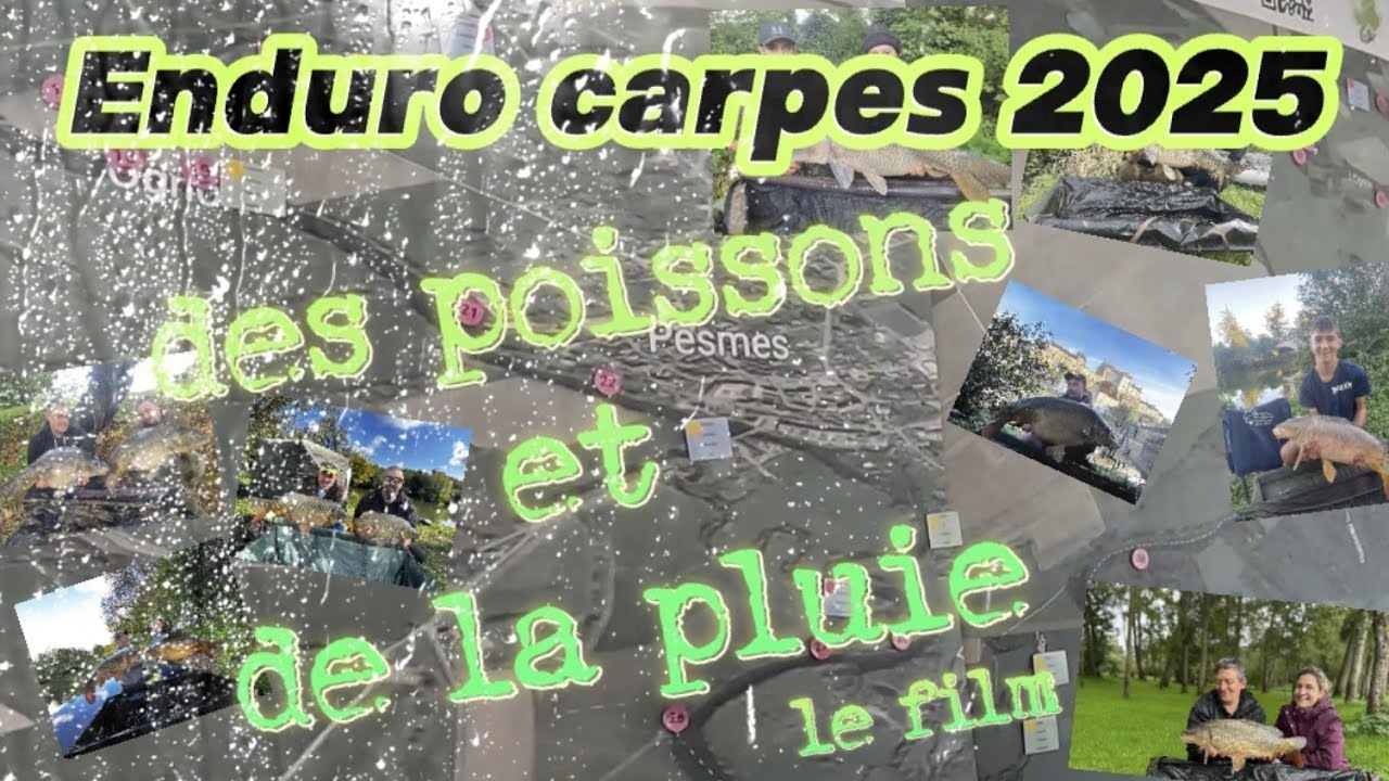 Des poissons 🐟 et de la pluie ☔️ Enduro carpes 10 ème éditions aappma ...