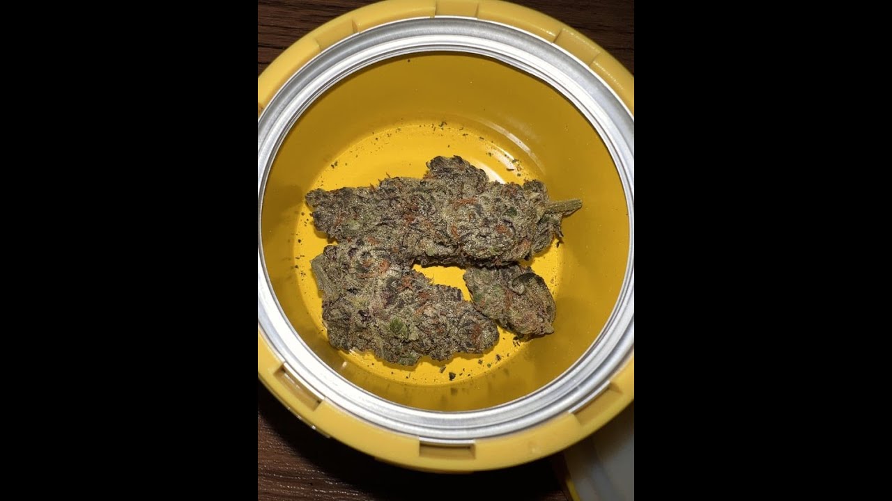 Morning Sesh With Guava Jam - YouTube