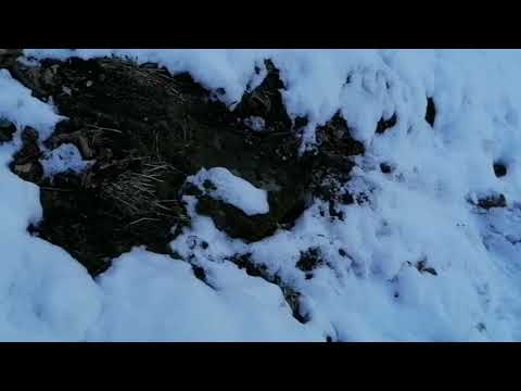 Korgan Karakoyunlu Mahallesi Mağara Keşfi