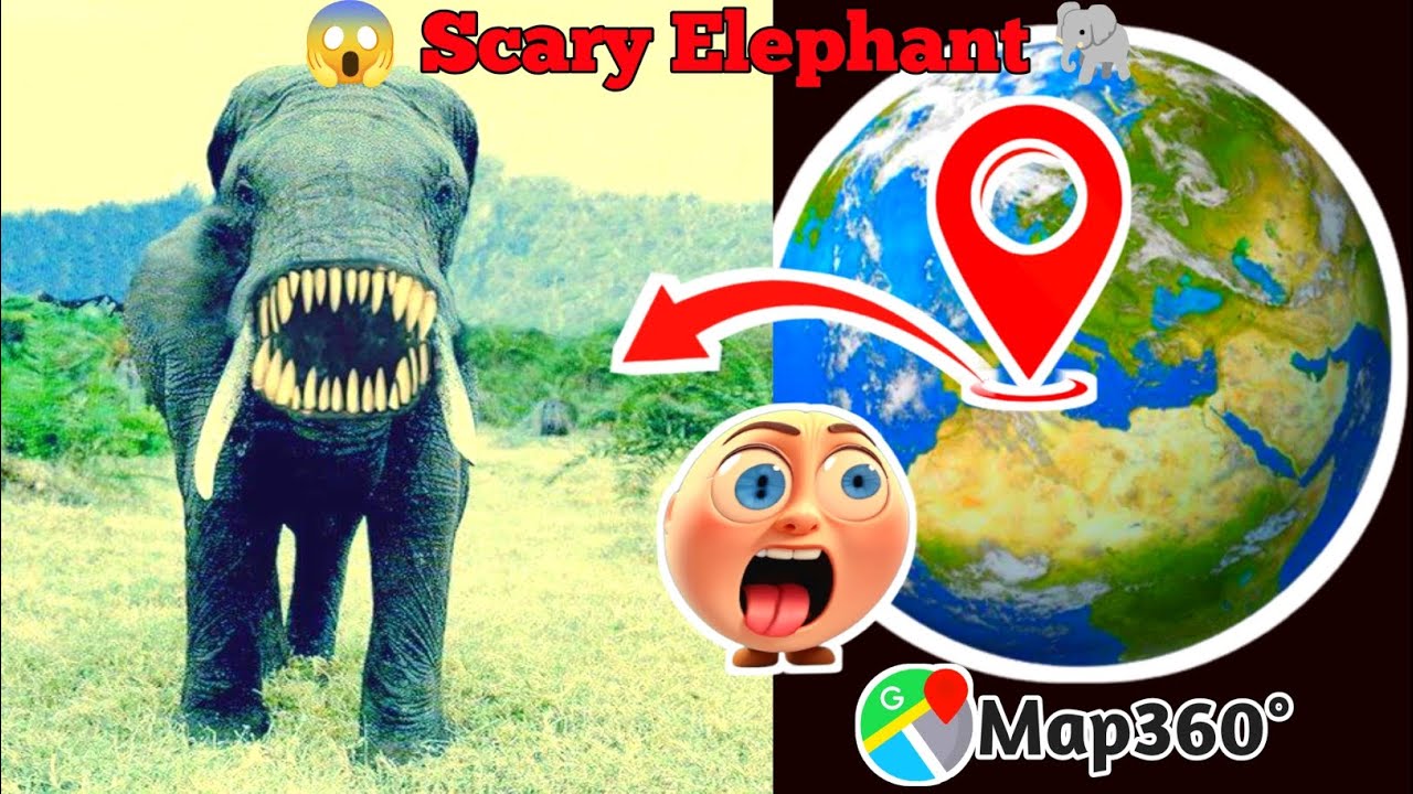 🤯 Scary elephant in real life on Google earth and Google map 🌎 #viral # ...