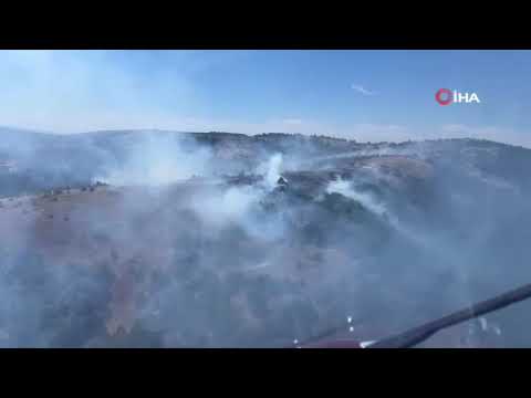 Kastamonu'da çıkan orman yangını kontrol altında!