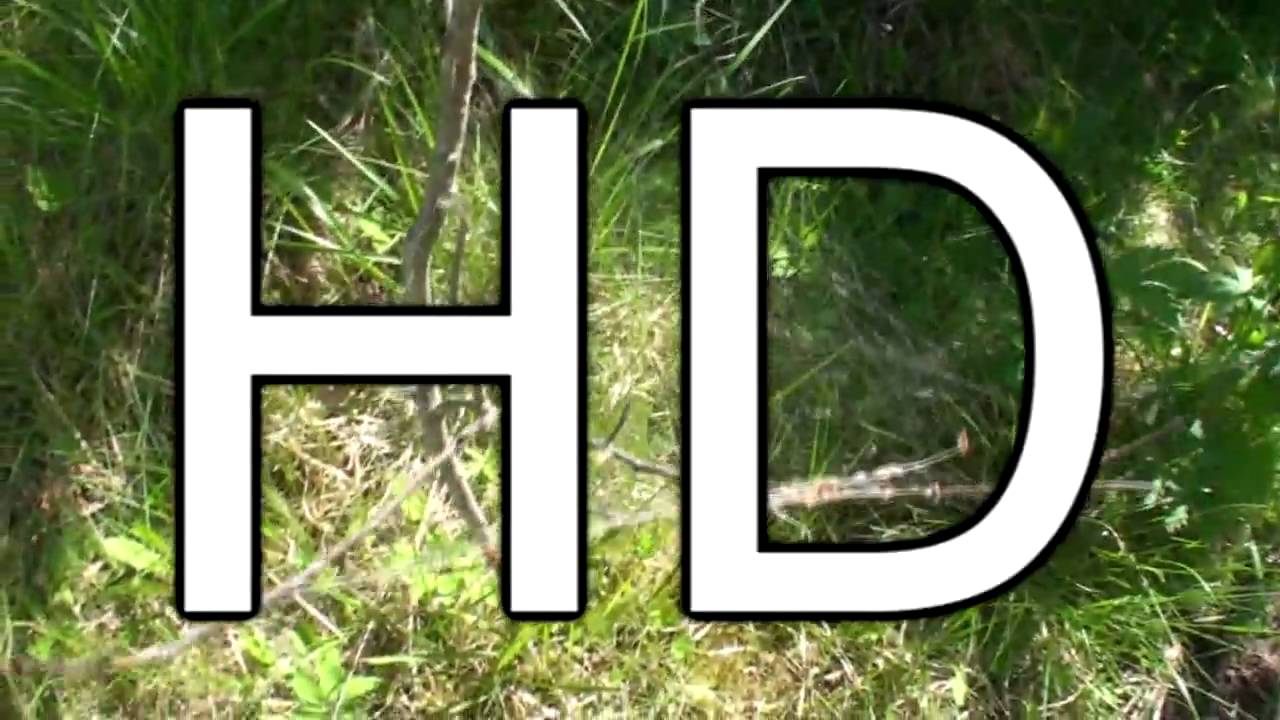 HDHDHDHDHD etc. - YouTube