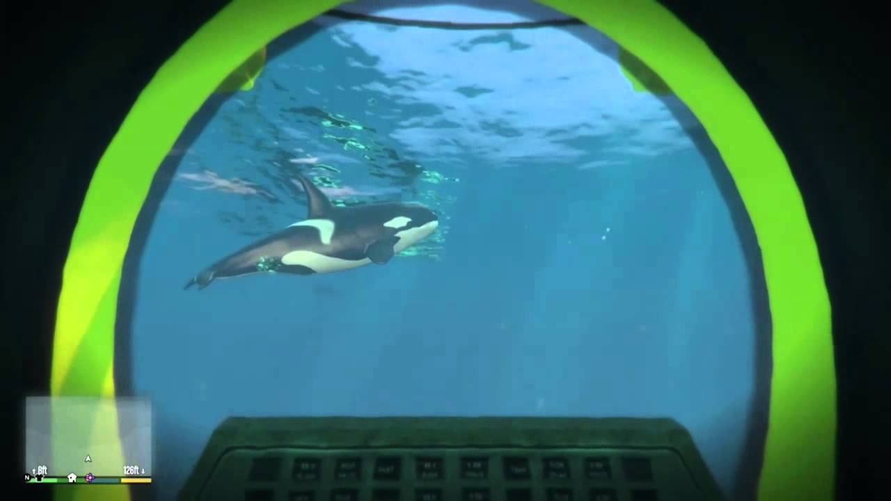 GTA V Killer Whale Pod - YouTube