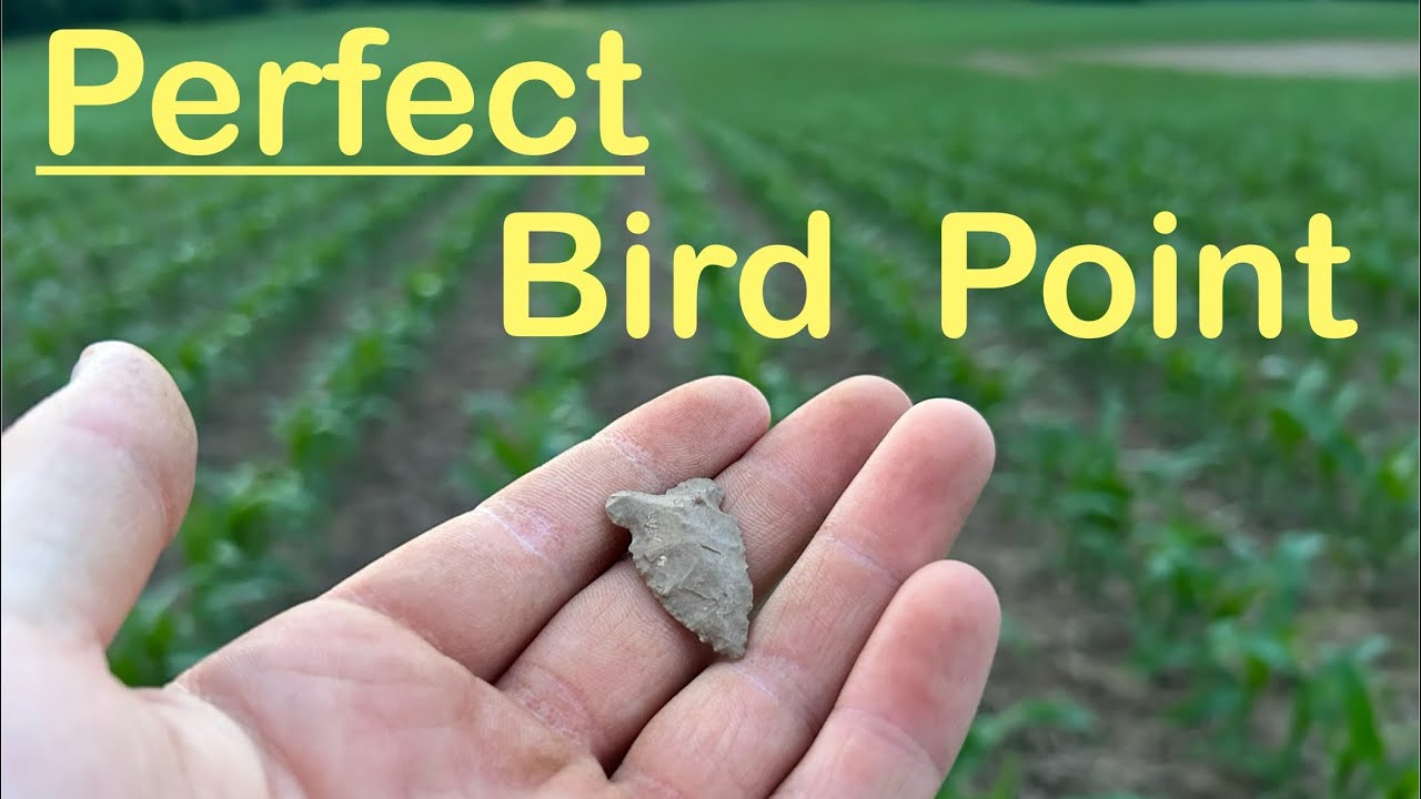 Great Bird Point & Other Finds - YouTube