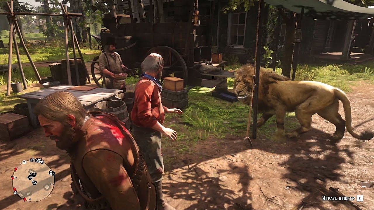 RDR2 - What happens if a Lion appears in the Camp - YouTube