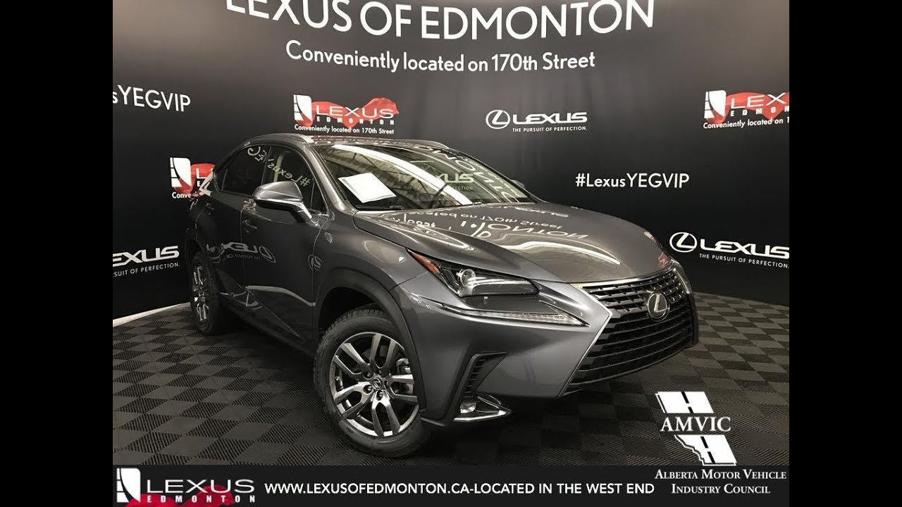 Gray 2018 Lexus NX 300 Premium Package Walkaround Review South Edmonton ...