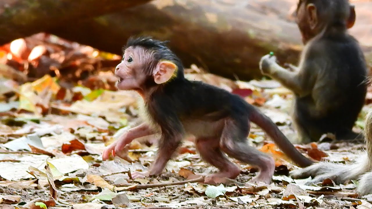 CUTEST BABY EDEN GOT FREELY TIME PLAY SO HAPPILY ON GROUND. VERY ...