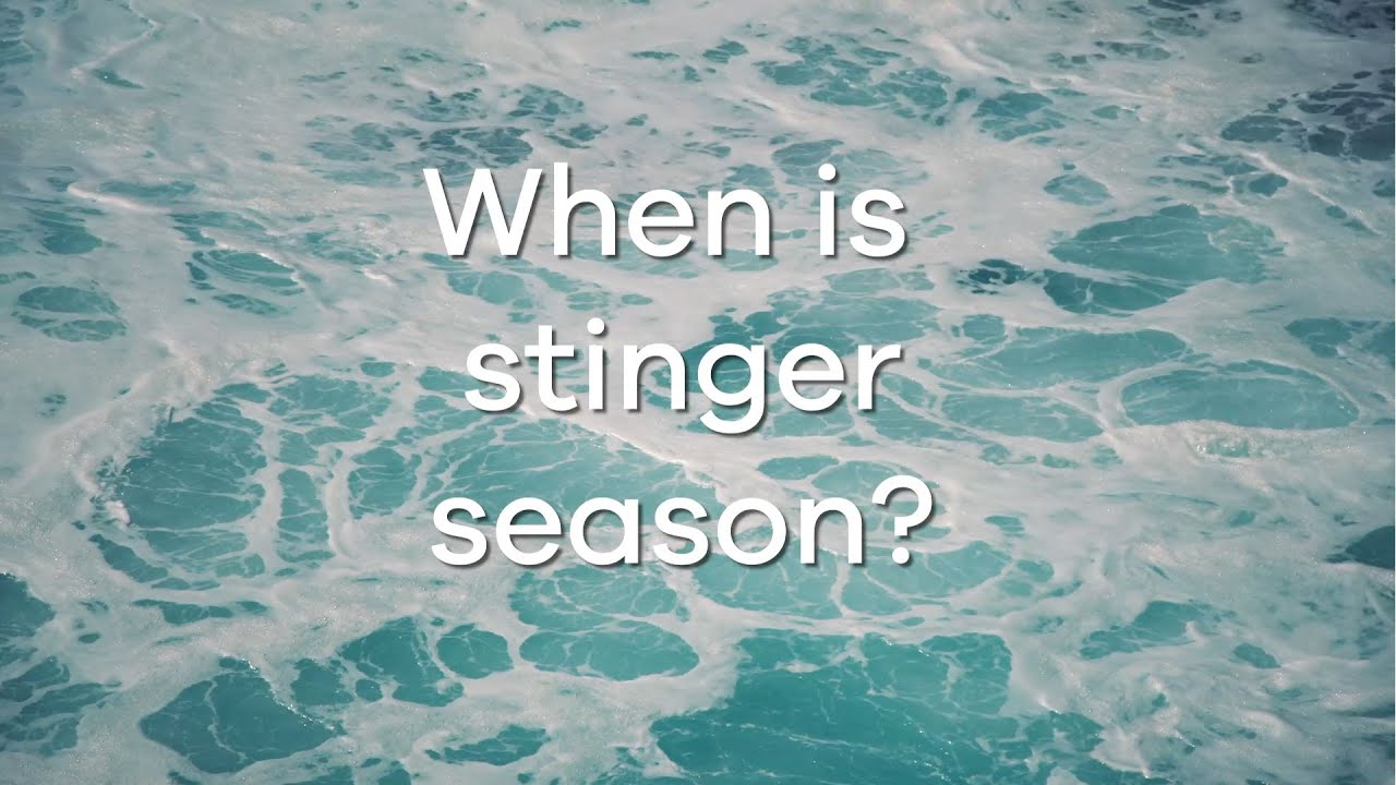 Stinger Season - YouTube