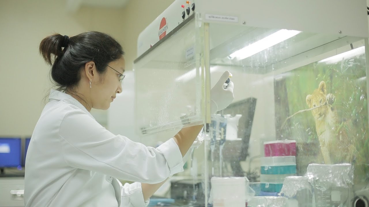 Department of Microbiology, Faculty of Science, Chulalongkorn ...