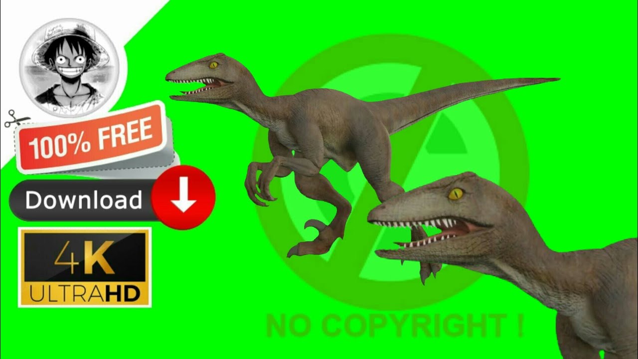 The ferocious raptor is ready to prey - YouTube