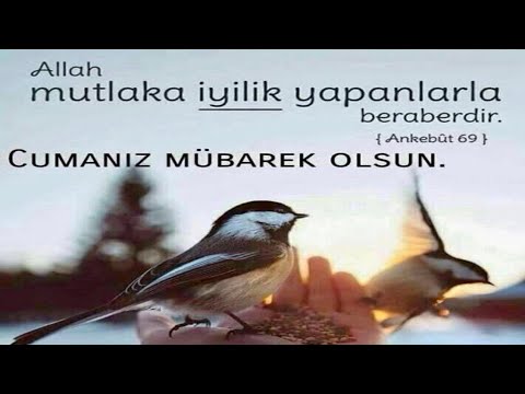 Hayırlı Cumalar | Whatsapp Durumu İçin Kısa Cuma Videosu