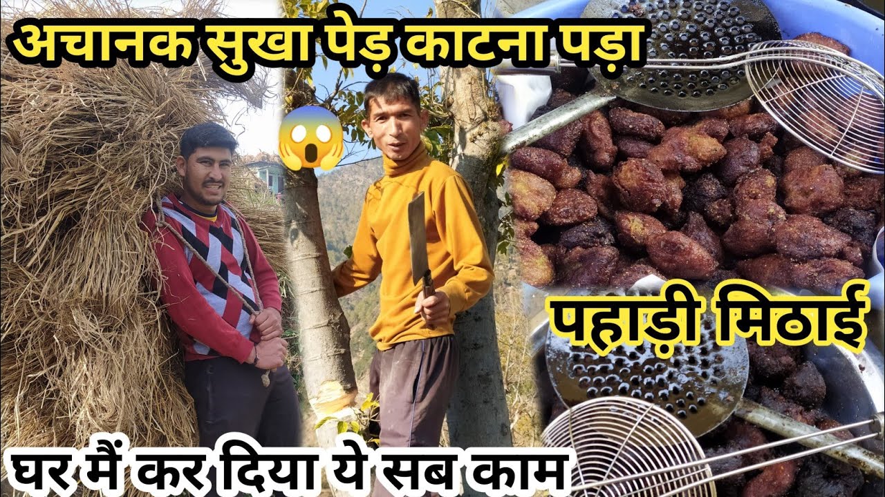 पूरा मेहनत का काम जल्दी निपटा दिया || Pahadi Lifestyle Vlog || S Pahadi ...