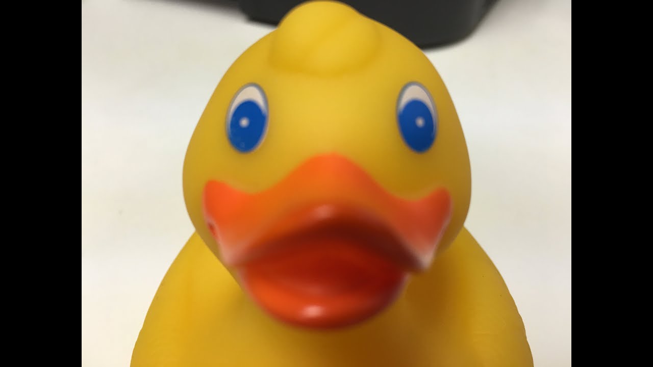 Botcon 2016 - Megatron's Rubber Duck - YouTube