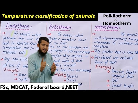 Temperature classification of animals | Classification of animals on ...