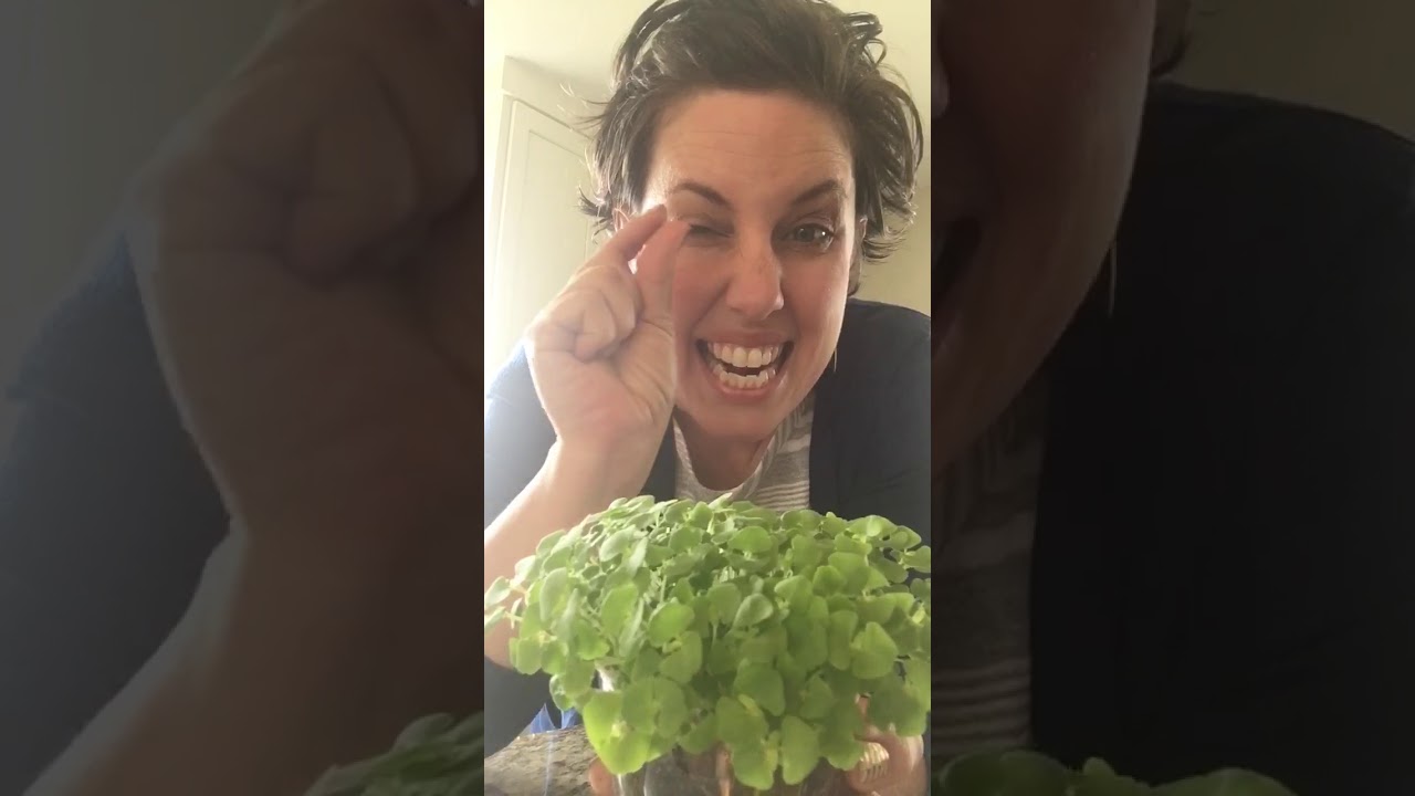 Gus Grows a Plant Activity - YouTube