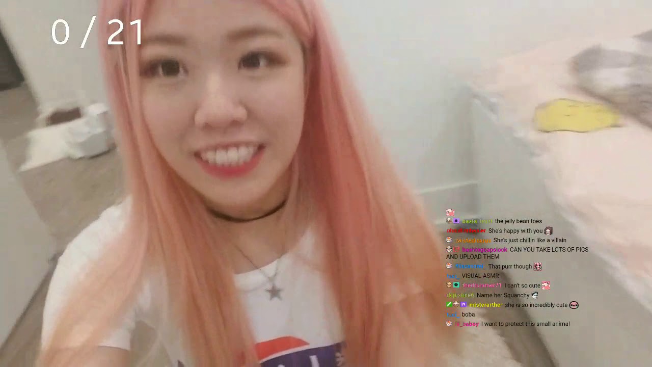 [Archived VoD] 06/23/19 | iGumdrop's New Kitty! - YouTube