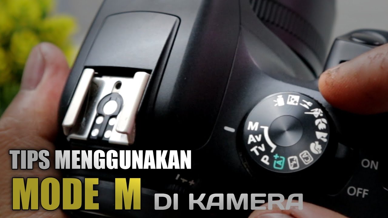 Tips Menggunakan Mode M Pada Kamera DSLR & Mirrorless Canon SONY NIKON ...