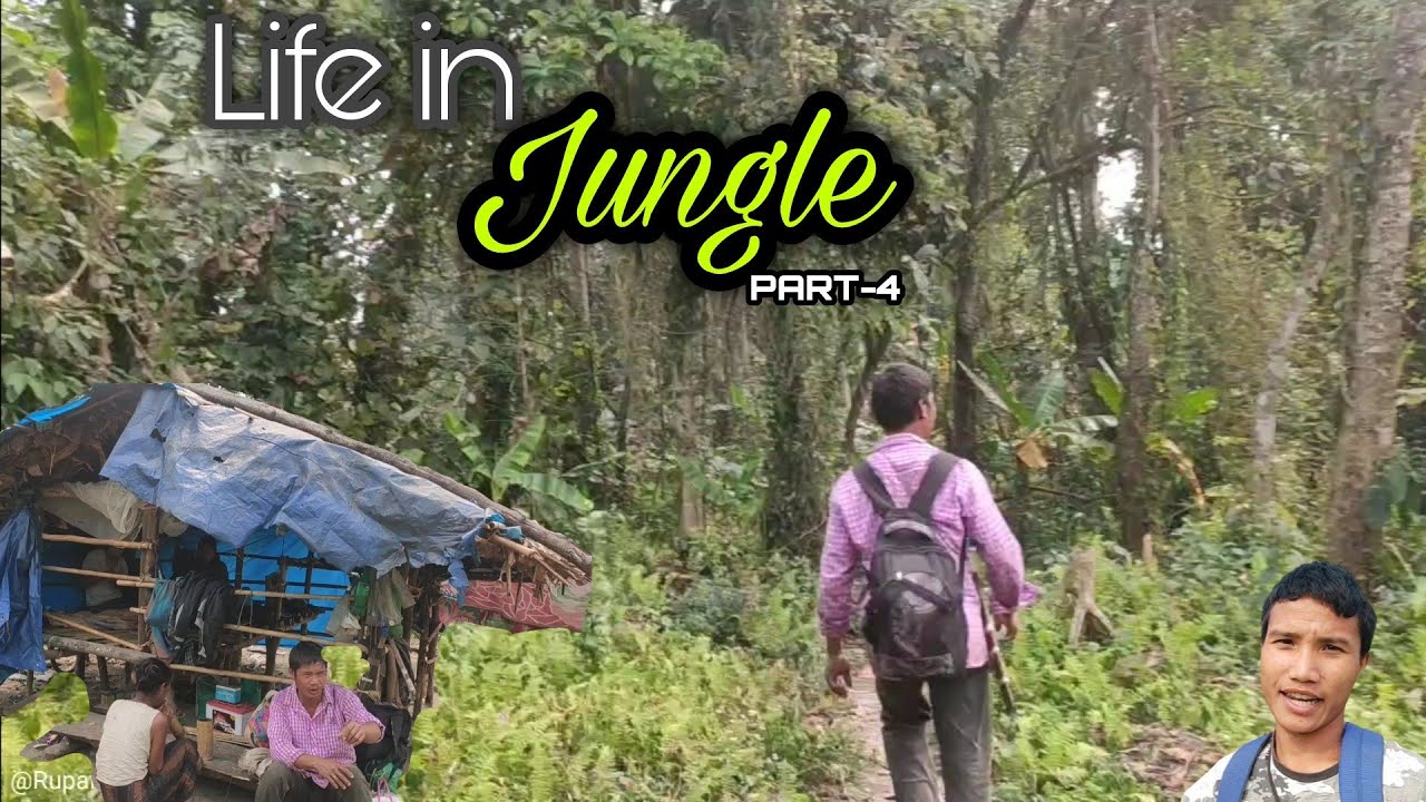 Life in Jungle PART-4 | Exploring Other Islands | Rupam The Explorer - YouTube