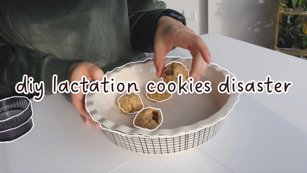 The Best Homemade Lactation Cookies + The Biggest Gas Oven Disaster ...