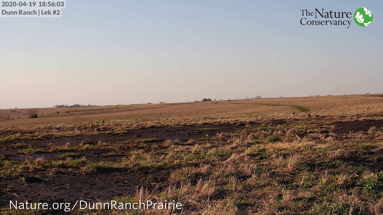 Spring at Dunn Ranch Prairie - 4.19.20 - YouTube
