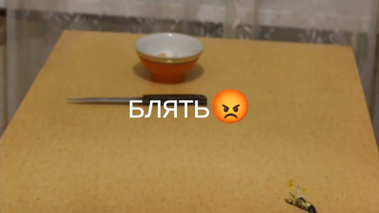 homunculus gets smashed by a book - YouTube