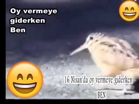 Oy kullanmaya giderken ben
