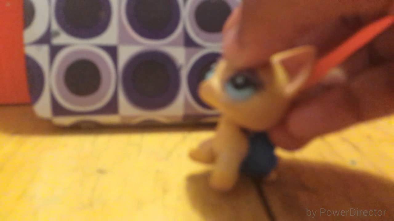 Way Too Complicated Trailer - YouTube