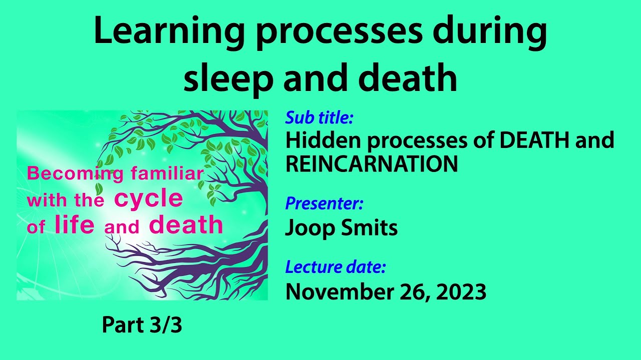 Learning processes during sleep and death (3/3): Hidden processes of ...