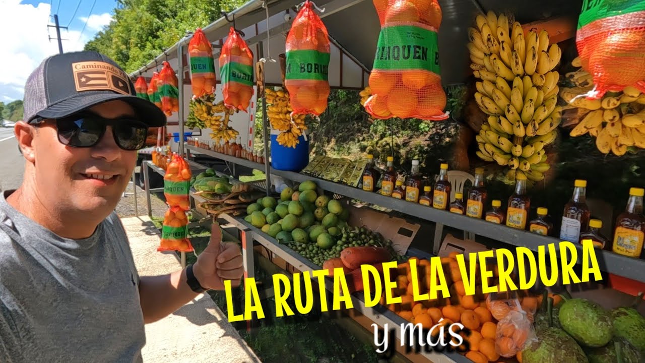 LA RUTA DE LA VERDURA DE PUERTO RICO ( PUERTO RICO VEGETABLE ROUTE ...
