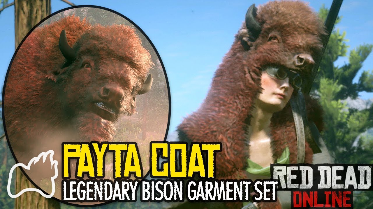 RED DEAD ONLINE How to Get the Legendary PAYTA Bison Coat Garment ...