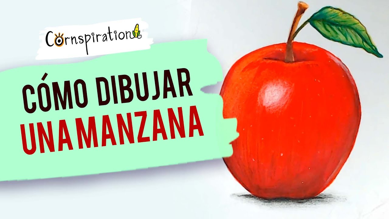 Cómo dibujar una Manzana realista 🍎 - YouTube