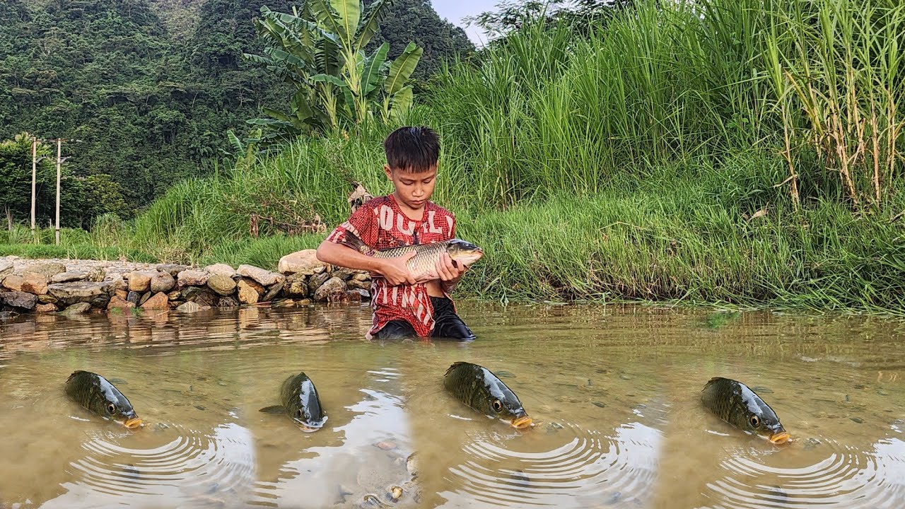 Orphan boy Min catches fish every day in the stream to make a living ...