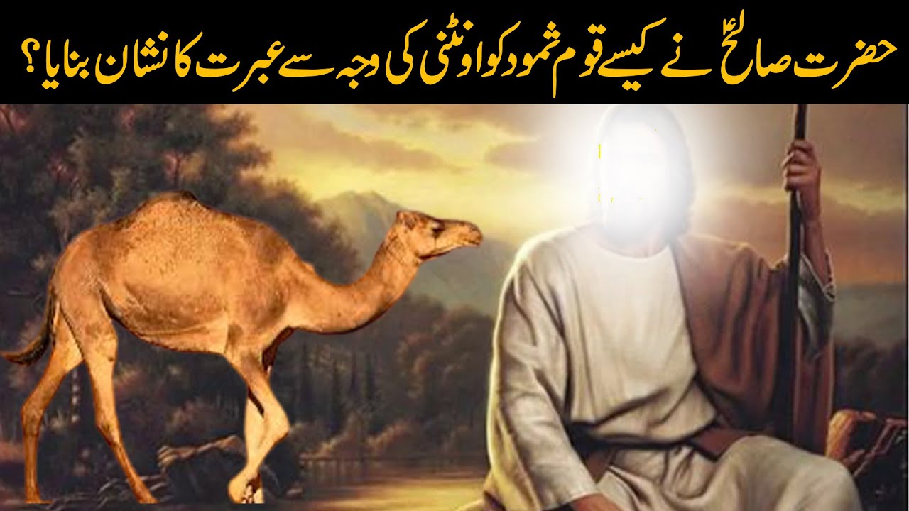 Hazrat Saleh Ka Mojza _ Qissa _ Story _ Waqia _ Qaum Par Azab _ Camel ...