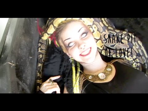 BEST PHOTOSHOOT EVER?! SNAKE PIT! // COFFIN SNAKES - YouTube