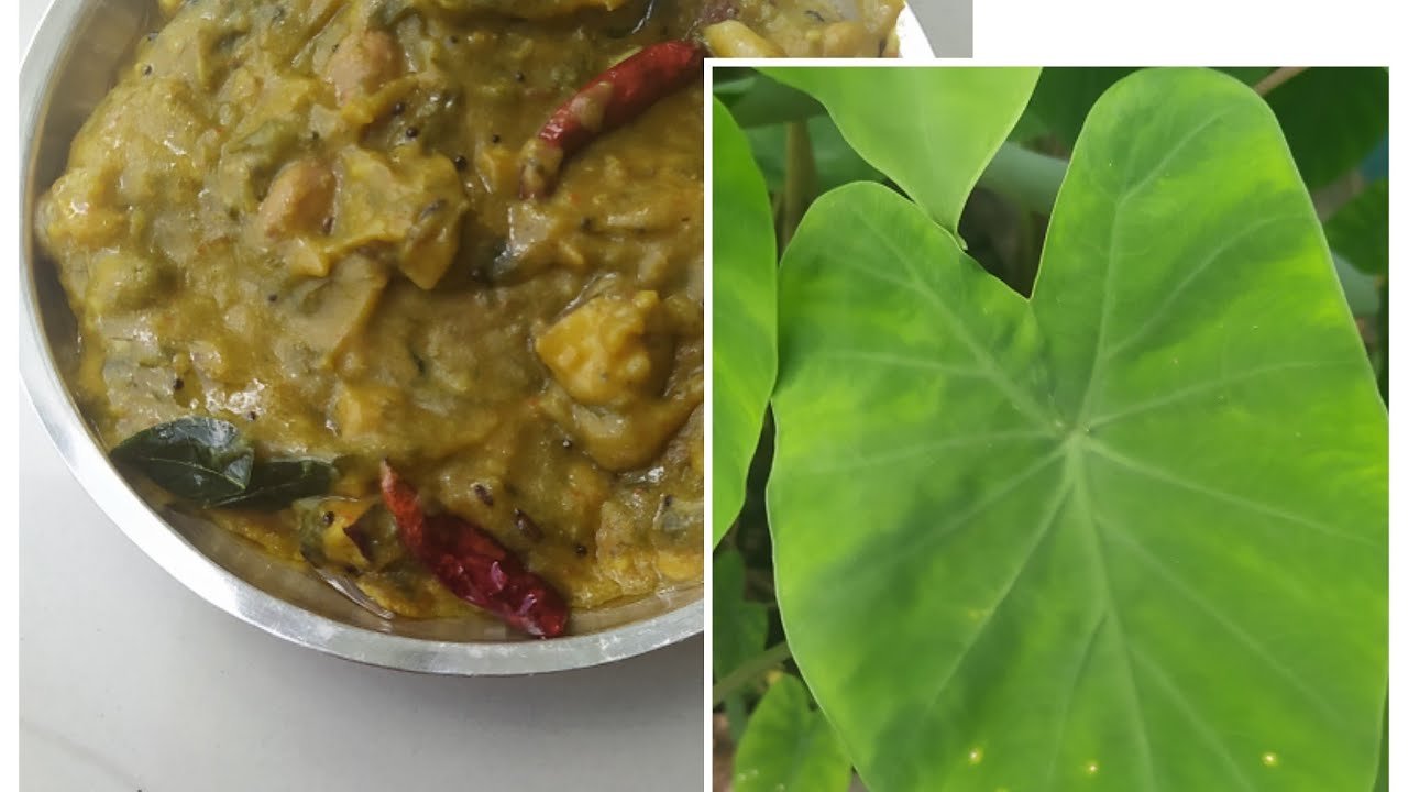 अळुचं फतफतं,alu cha fatfata , alu chi patal bhagi , Maharashtra c alu ...