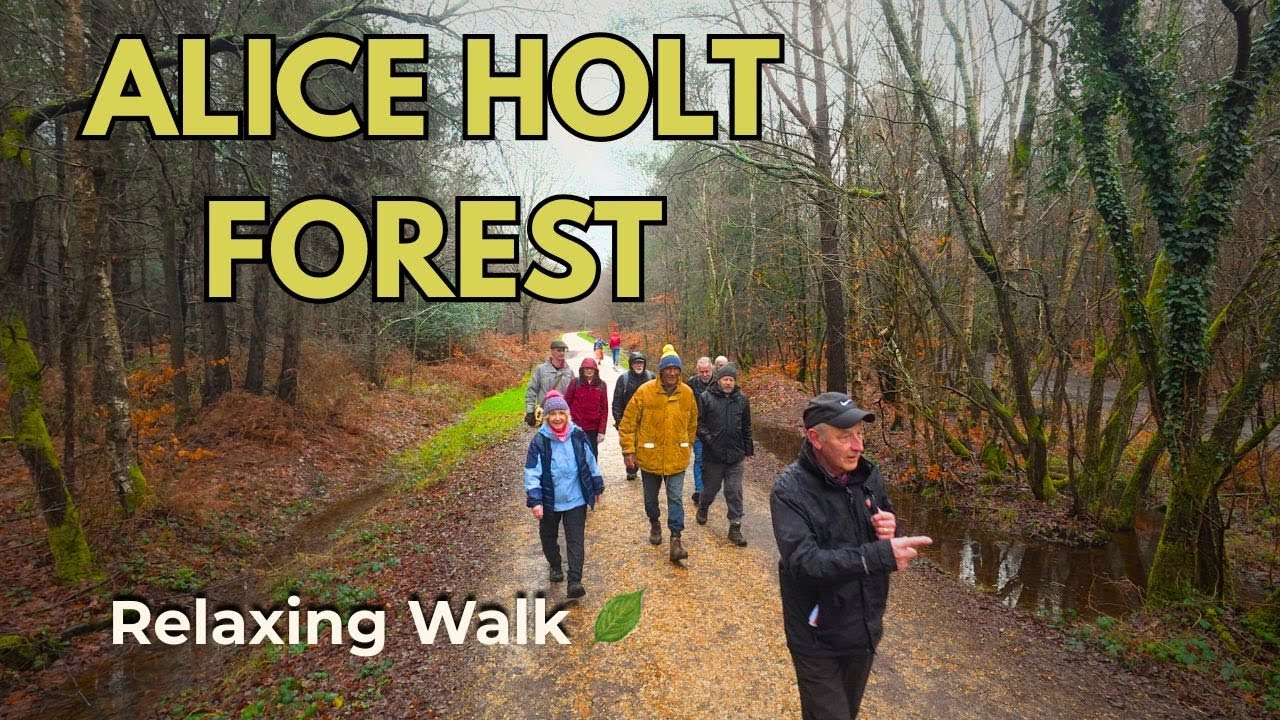 Exploring Alice Holt Forest | Peaceful Woodland Walk in Hampshire - YouTube