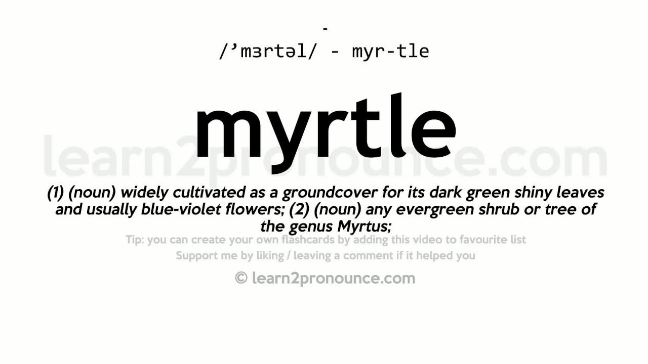 Pronunciation of Myrtle | Definition of Myrtle - YouTube