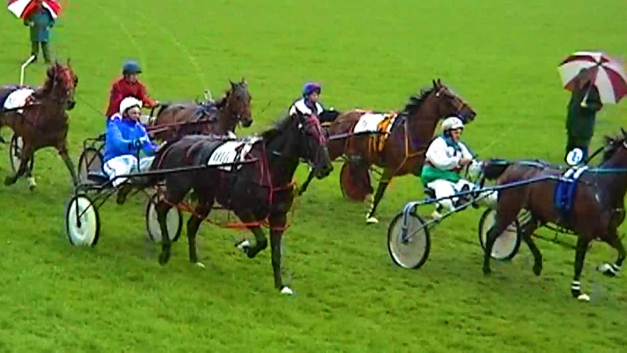 KNIGHTON HARNESS RACES 2000 GRADE B HEAT 1 - YouTube