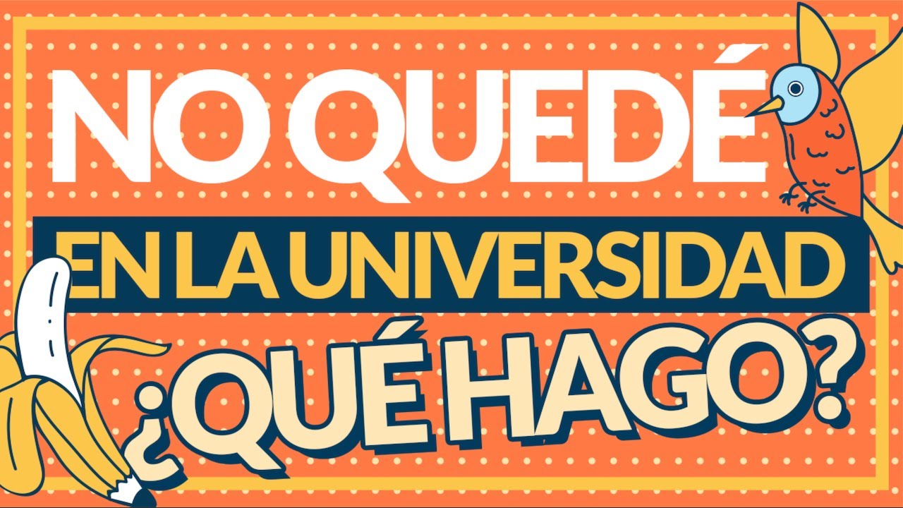 ¿Qué hacer si no me quedé en la universidad? - YouTube