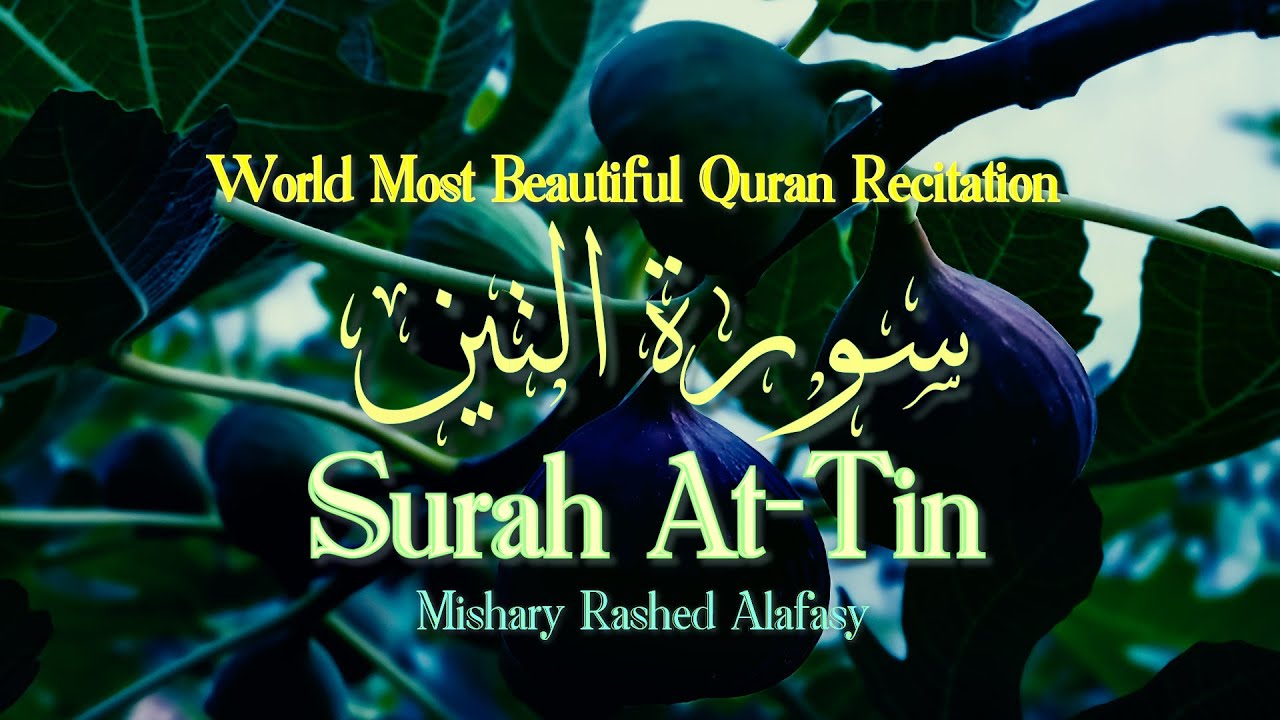 Surah At-Tin Most Beautiful Quran Recitation || سُوۡرَةُ التِّین || (Surah At-Tin) || Rashed ...