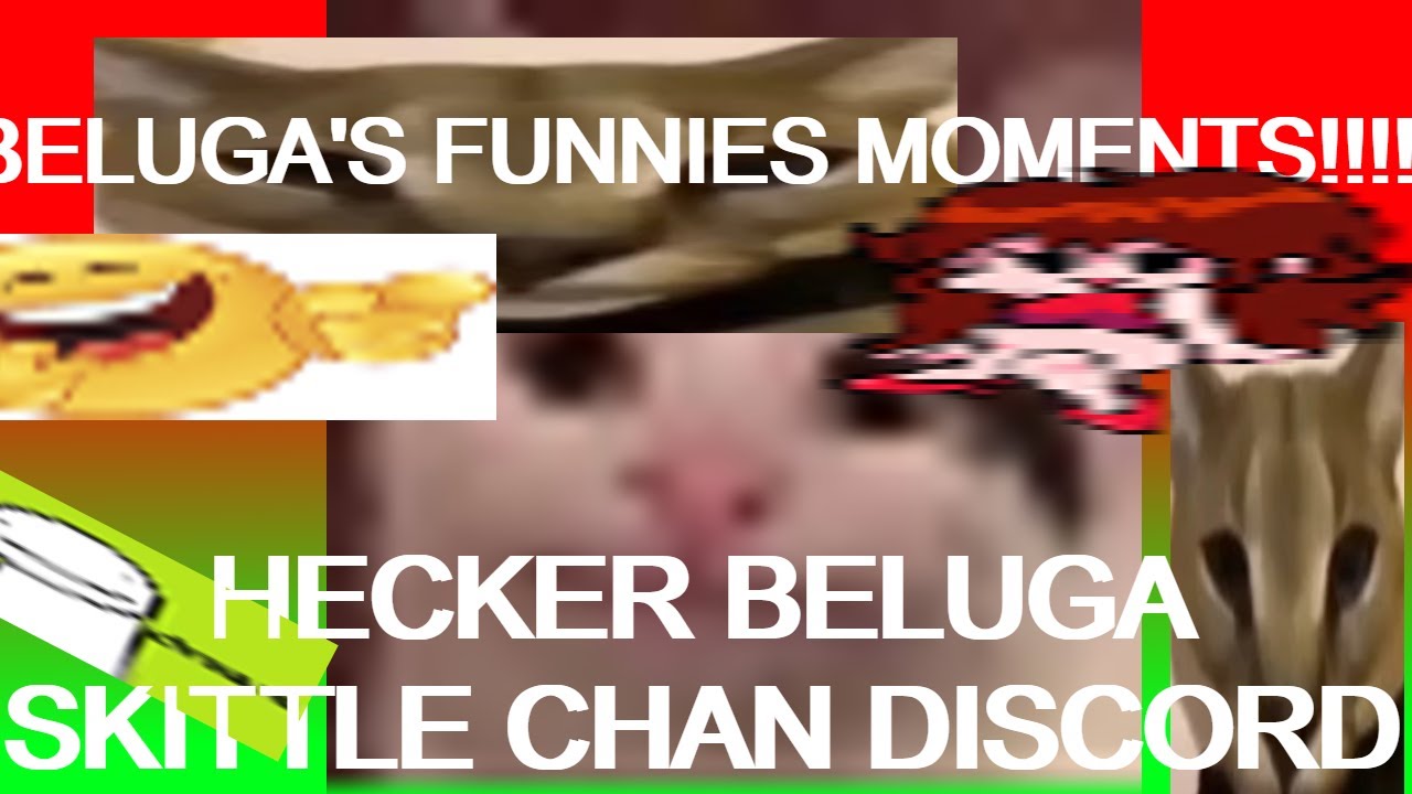 BELUGA FUNNY MOMENTS PART 1 - YouTube