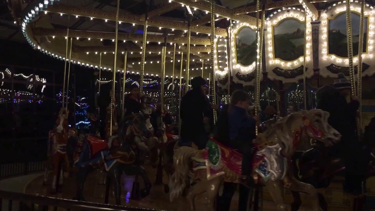 Woodland Park Zoo Wild lights show Nov 2016 - YouTube