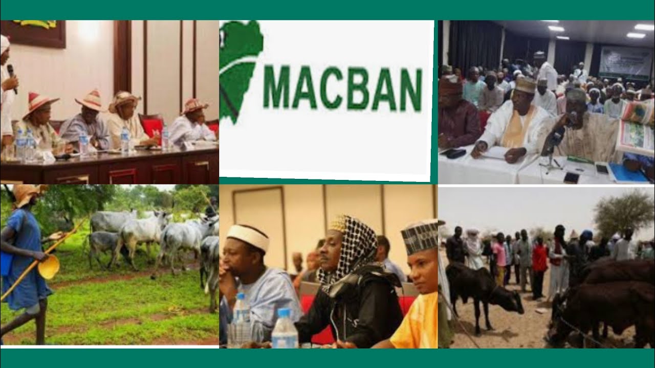 No longer a joke as MACBAN asks all HERDERS to Leave Southern region ...