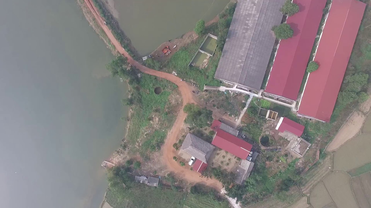 Trang trại heo của Dabaco - YouTube