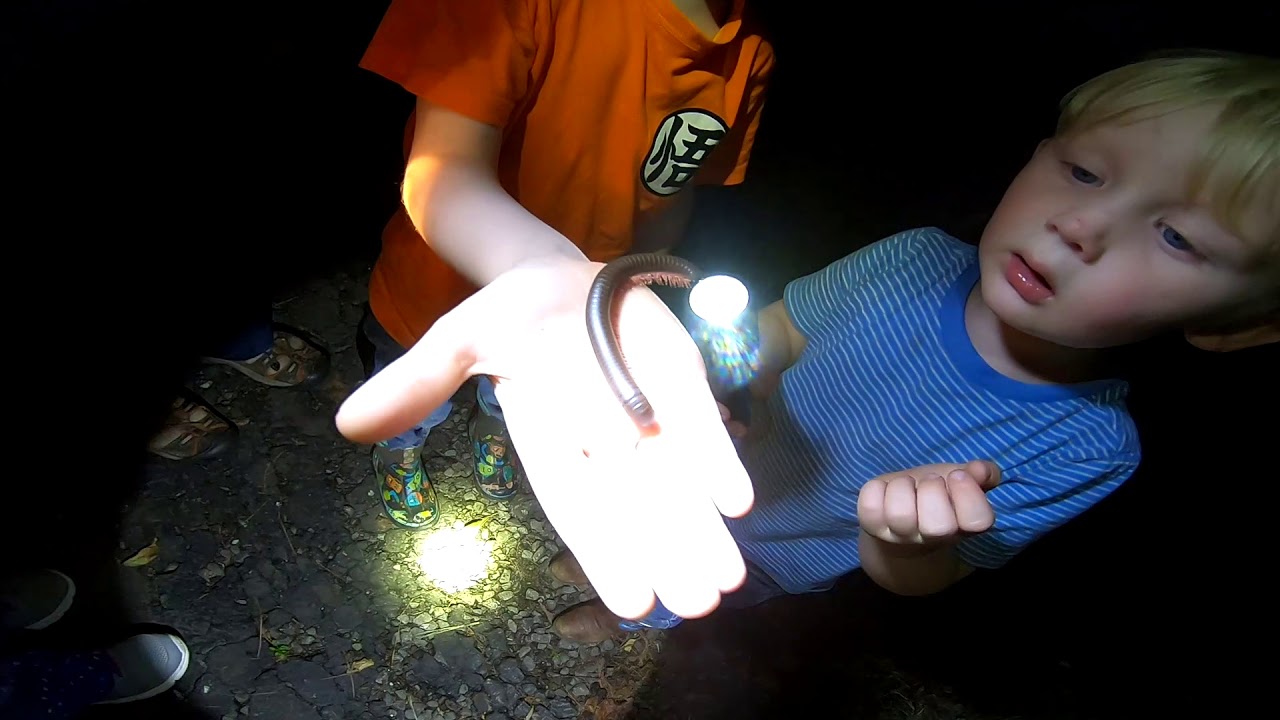 Toad Hunting and front yard fires with family. - YouTube