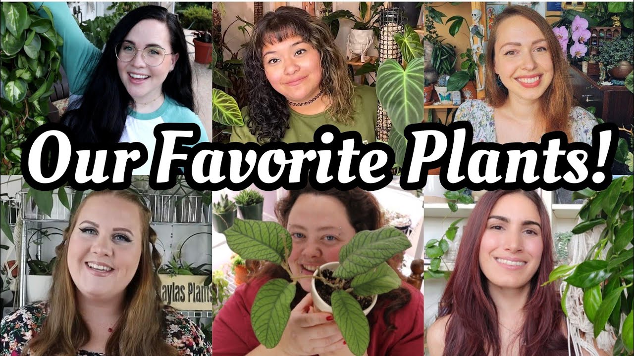 Our Favorite Plants!! 🌿 fun planty YouTuber collaboration ☺️ - YouTube