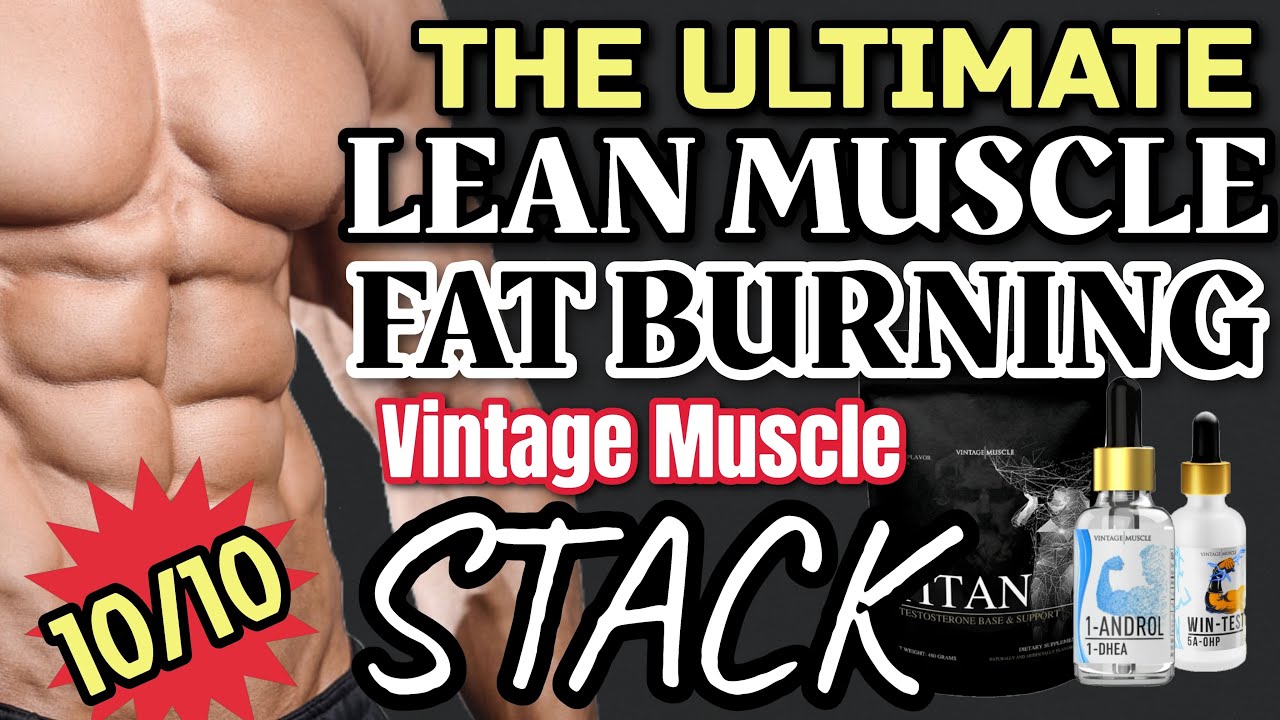 THE BEST VINTAGE MUSCLE STACK FOR LEAN MUSCLE GAINS & FAT BURNING - YouTube